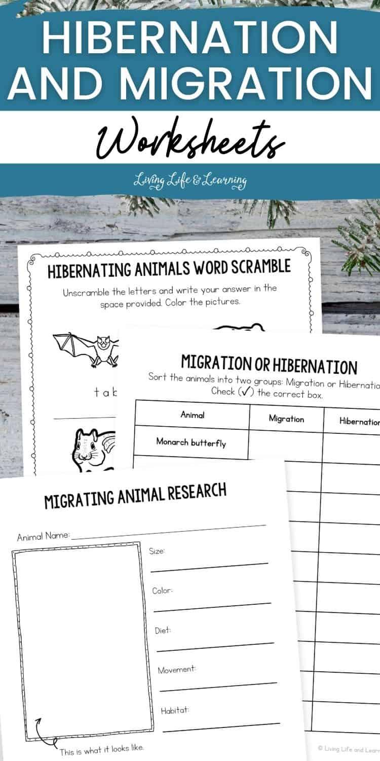 Hibernation and Migration Worksheets for Winter Science