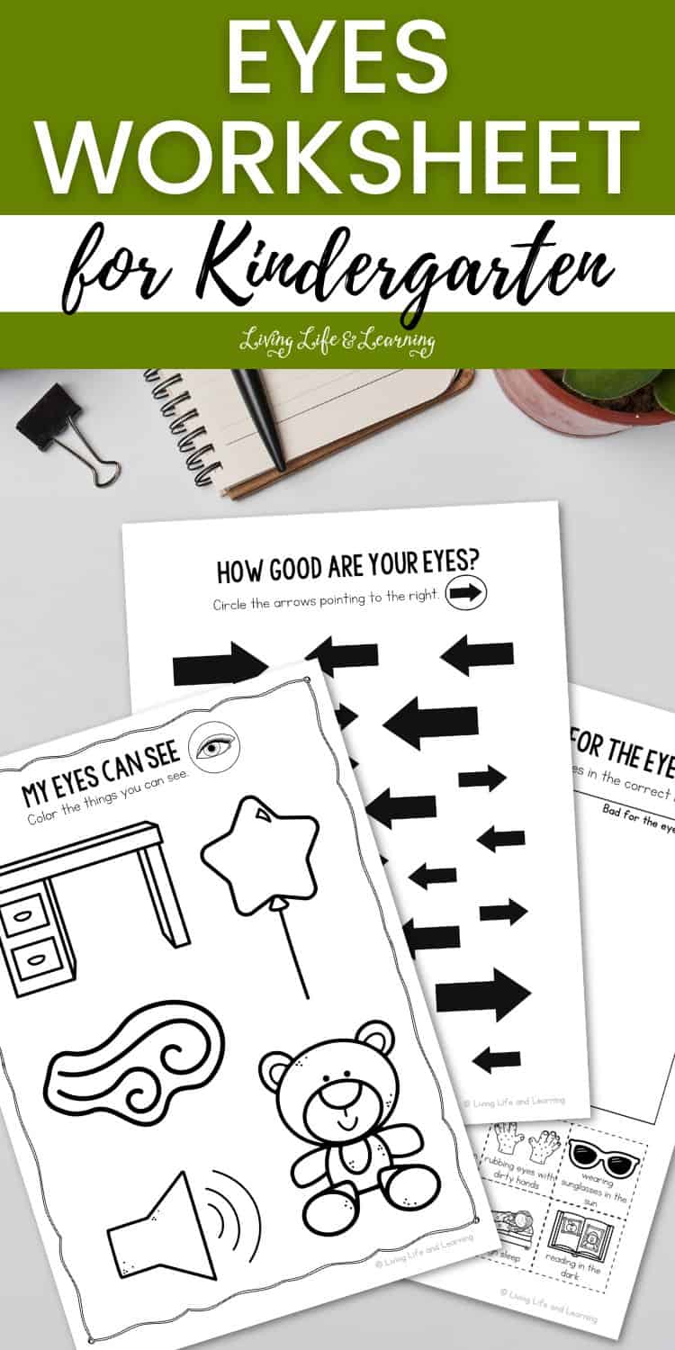 Eyes Worksheet for Kindergarten