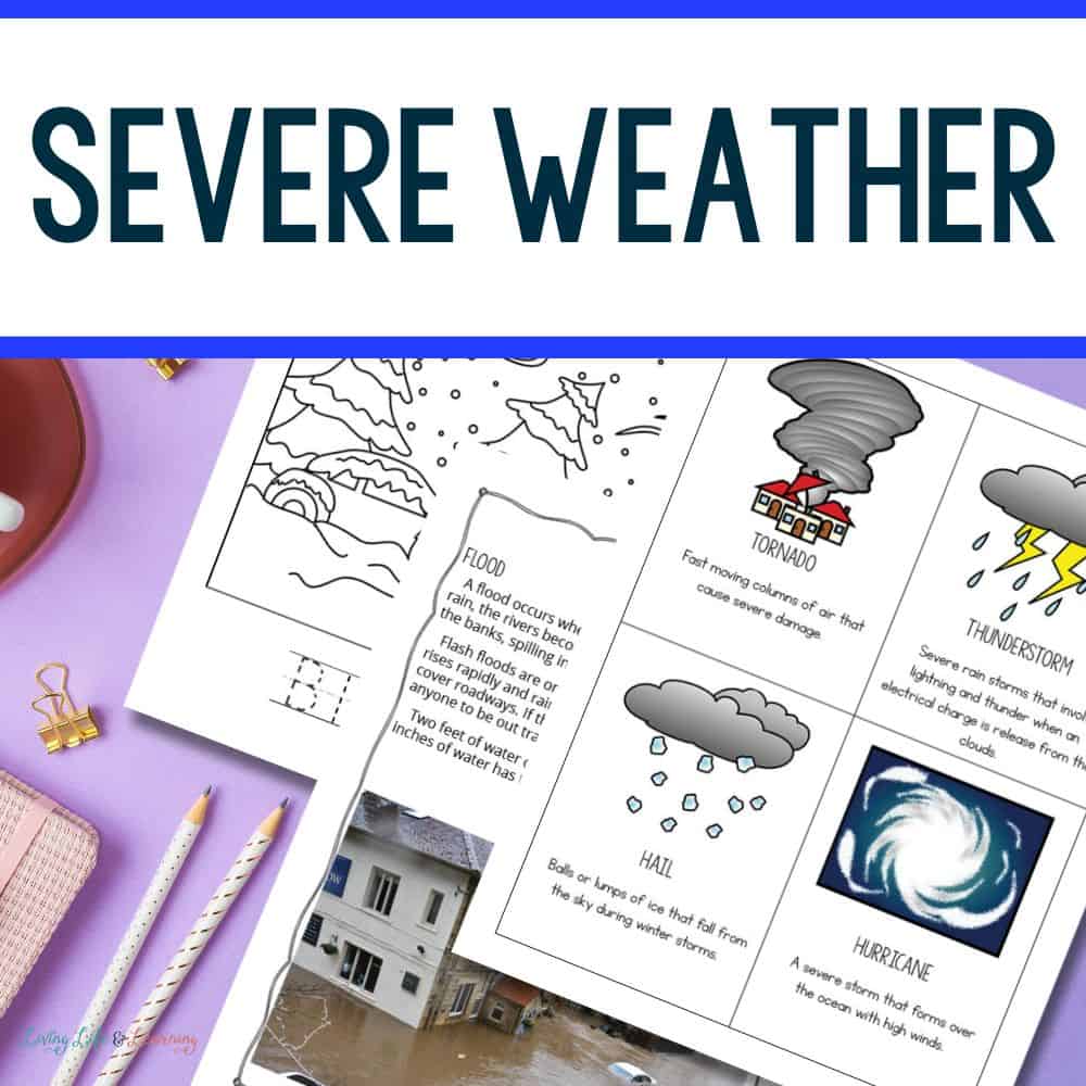 Tornado in a Bottle Experiment: Weather Science Fun