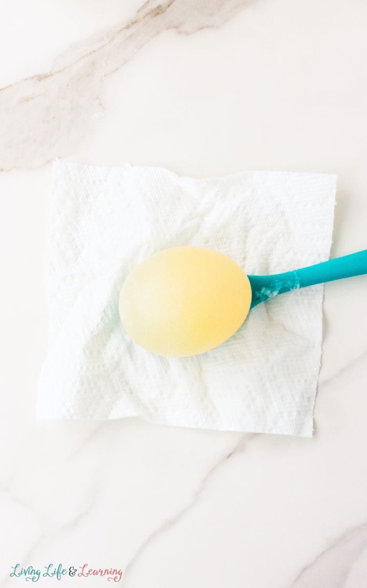 Rubber Egg Experiment: Explore Osmosis