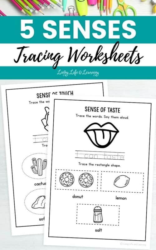 5 Senses Tracing Worksheets for Preschool Learning