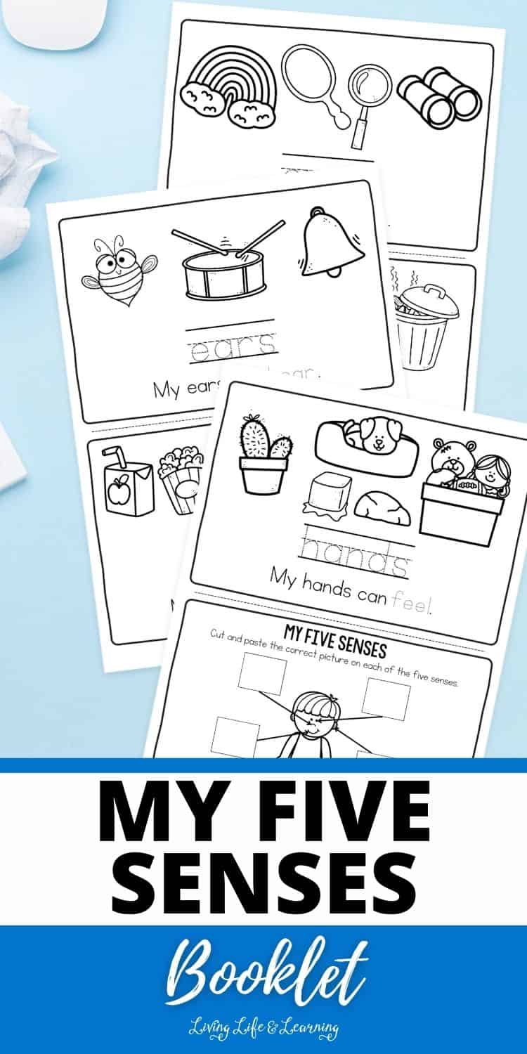 My Five Senses Booklet Enhances Early Skills