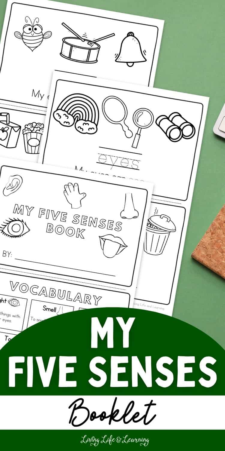 My Five Senses Booklet Enhances Early Skills