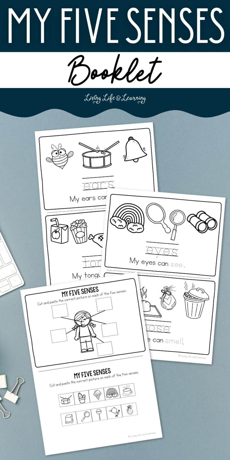 My Five Senses Booklet Enhances Early Skills