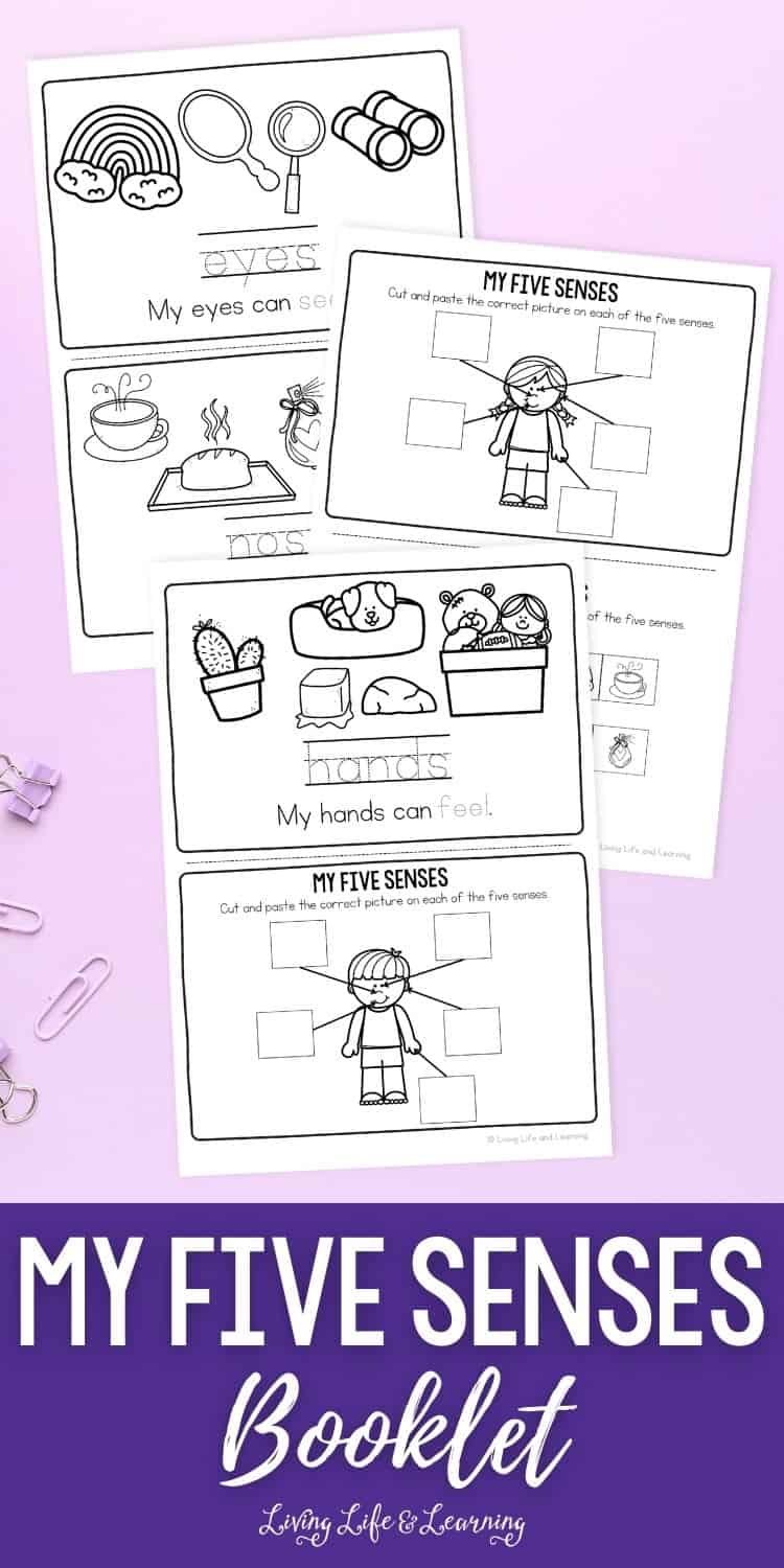 My Five Senses Booklet Enhances Early Skills