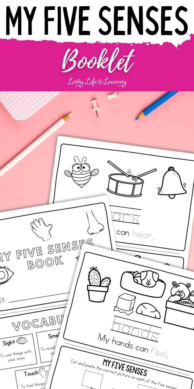 My Five Senses Booklet Enhances Early Skills