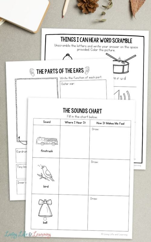 Ear Worksheets for Kids to Understand Hearing