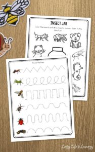 Preschool Insect Worksheets to Explore Nature with Kids