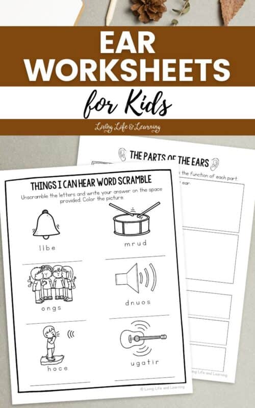 Ear Worksheets for Kids to Understand Hearing