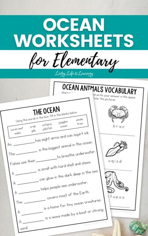 Ocean Worksheets for Elementary Themed Lessons