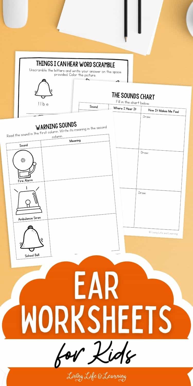 Ear Worksheets for Kids to Understand Hearing