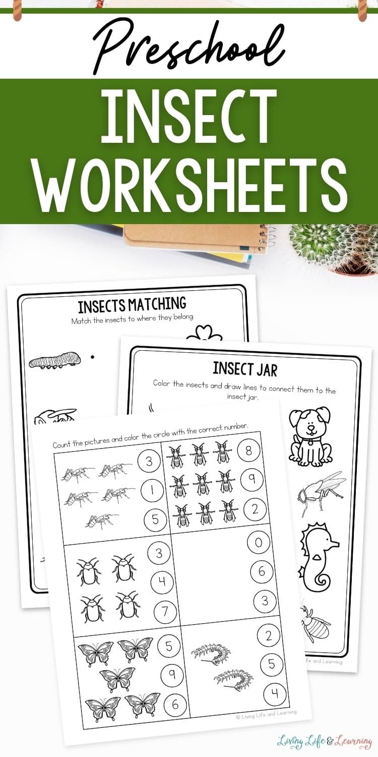 Preschool Insect Worksheets to Explore Nature with Kids