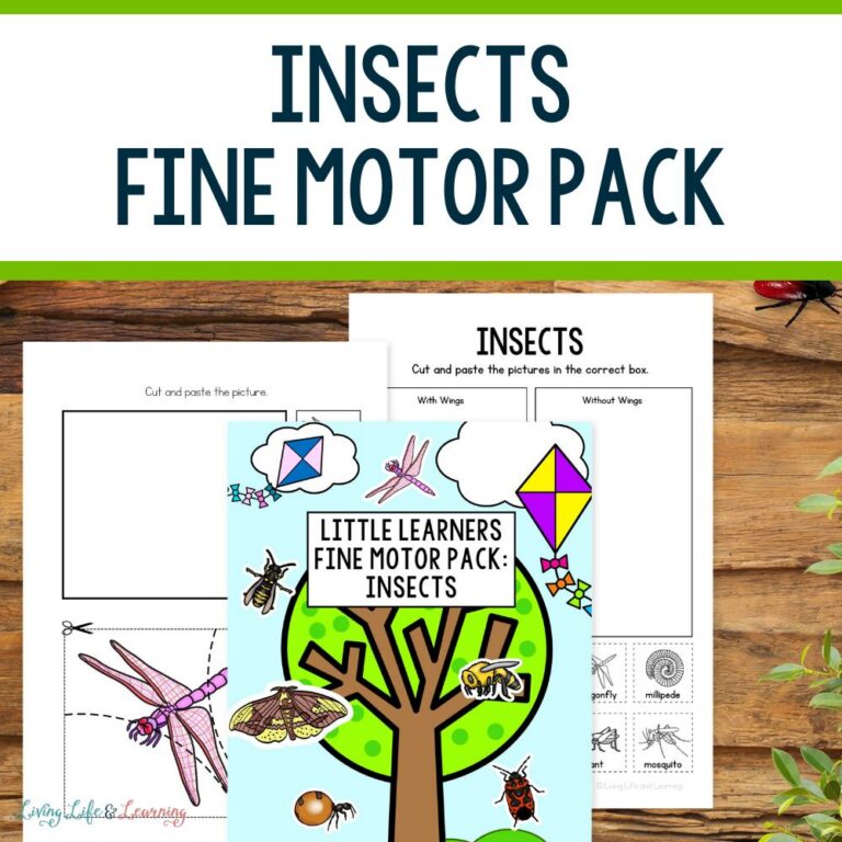 Preschool Insect Worksheets to Explore Nature with Kids