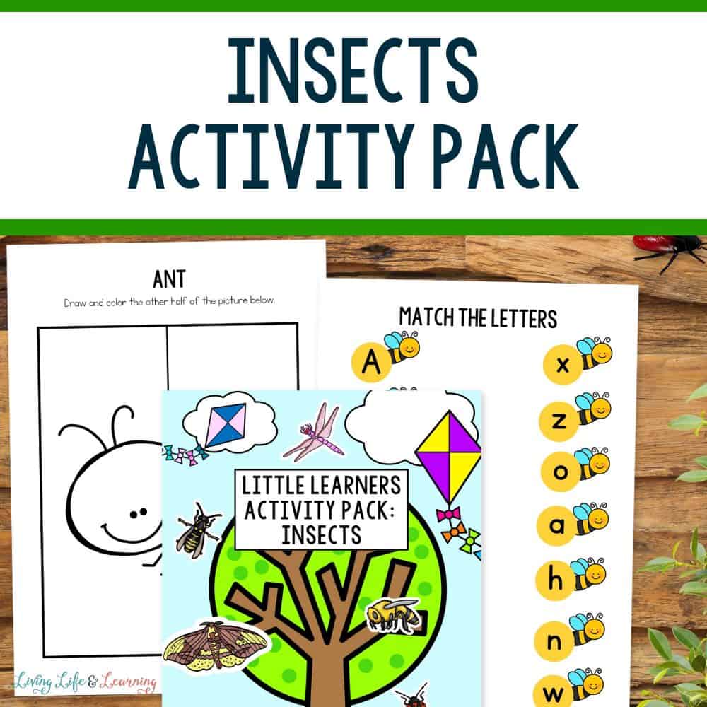Preschool Insect Worksheets to Explore Nature with Kids