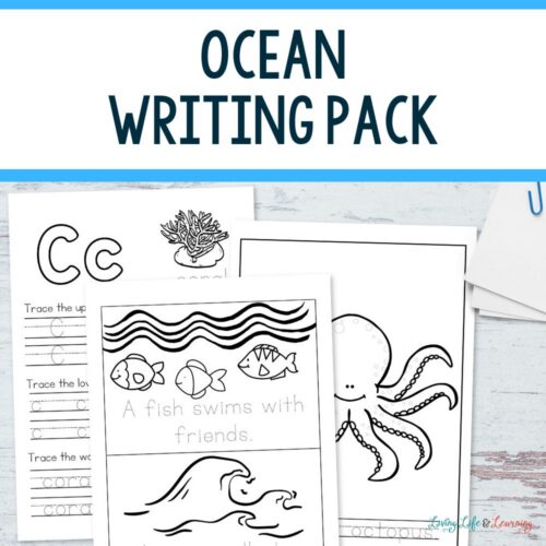 Ocean Worksheets for Preschool: Easy Learning Activities
