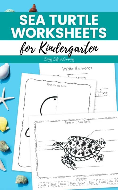 Sea Turtle Worksheets for Kindergarten: Fun and Engaging Ideas