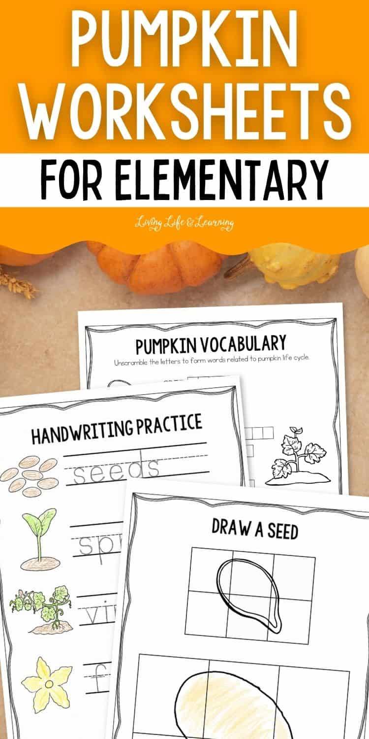 Pumpkin Worksheets for Elementary Students