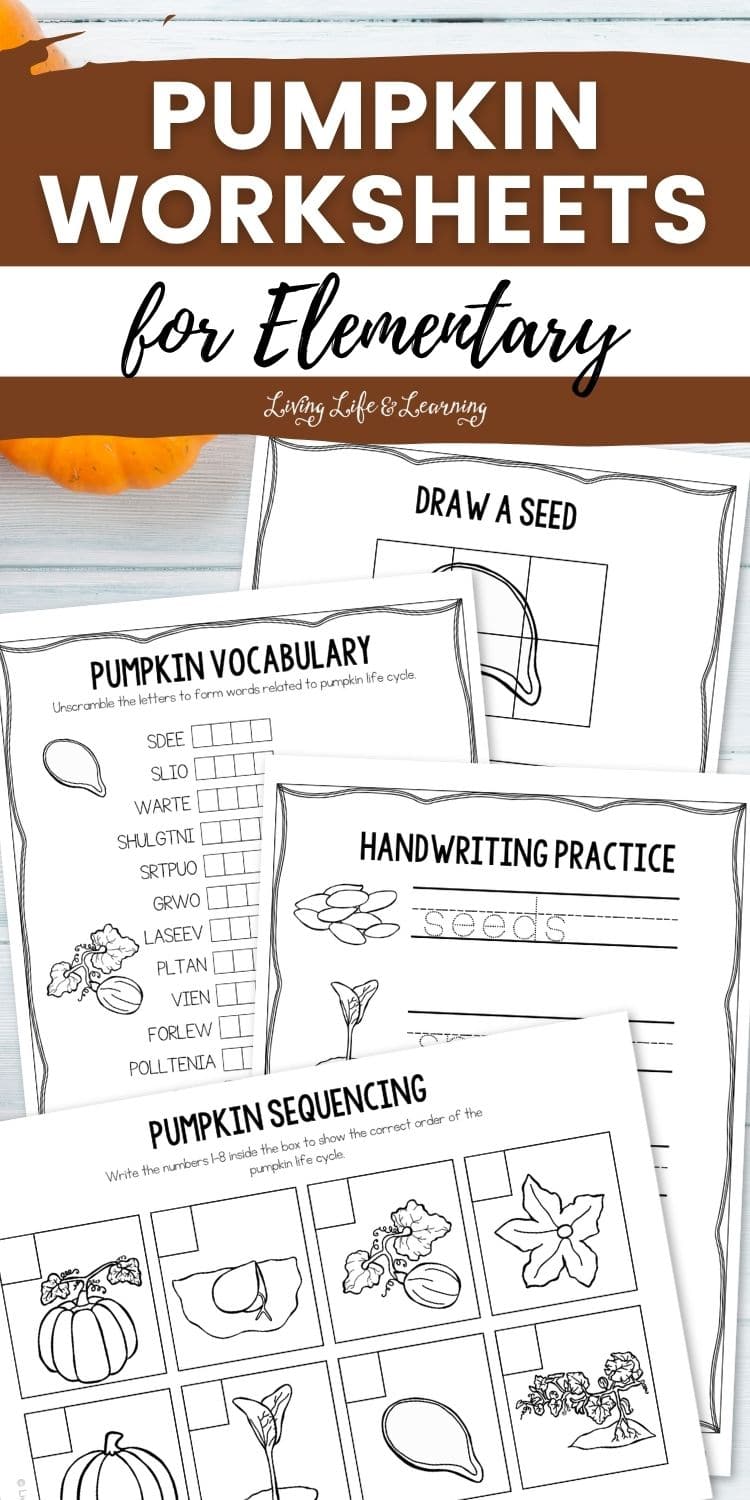 Pumpkin Worksheets for Elementary Students